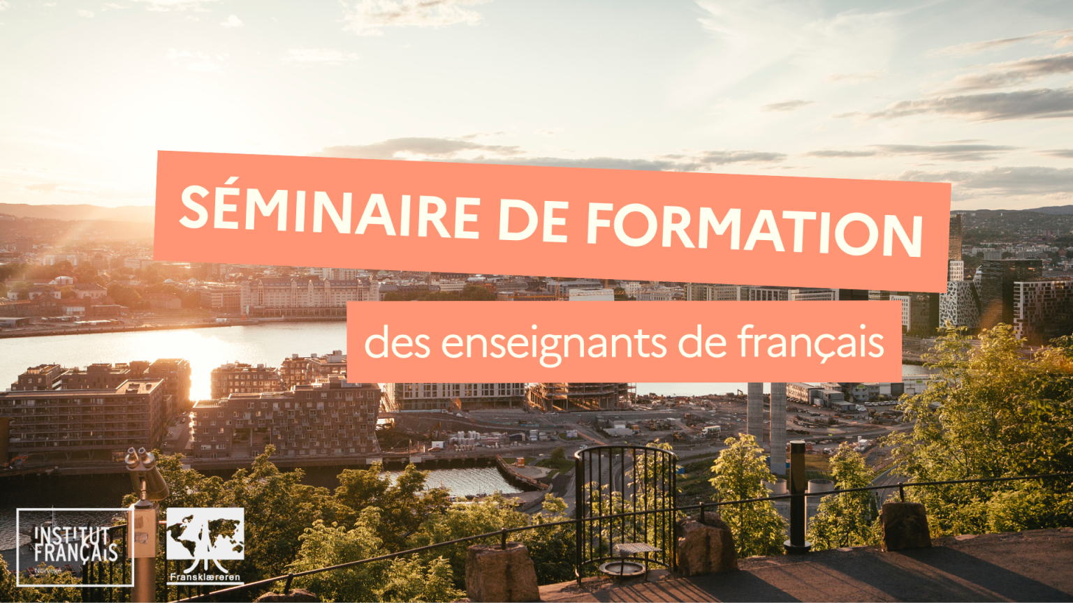 Séminaire de formation des enseignants de français - Institut français